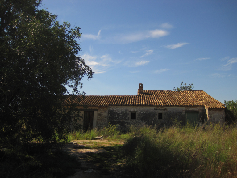 El Verger Archives - Fincas Denia